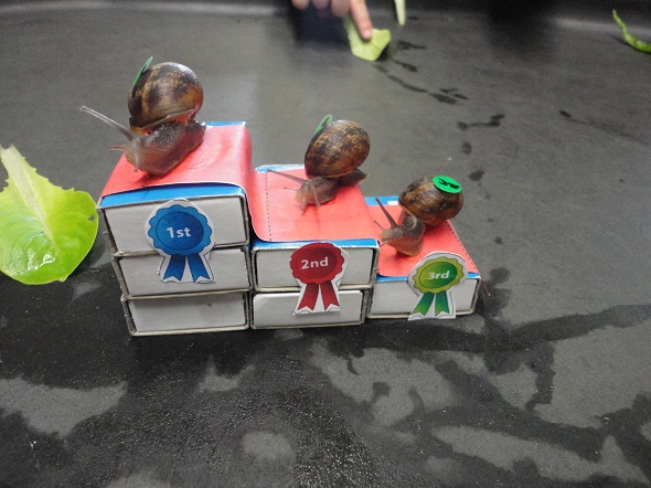 Snail Races! - Little Acorns Pre-school, RushburyLittle Acorns Pre ...